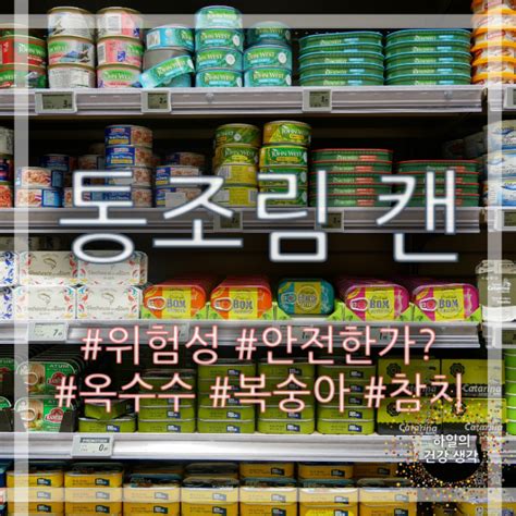 과일 참치 통조림 속 국물 먹어도 건강에 이상이 없을까 네이버 블로그