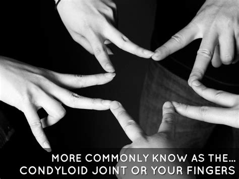 Ellipsoidal Joint By C Ferguson