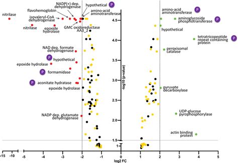 Volcano Plot Of All Differentially Regulated Proteins In T Atroviride Download Scientific