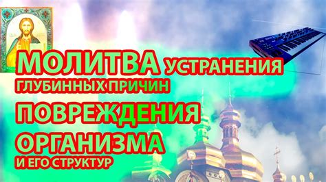 МОЛИТВА УСТРАНЕНИЯ ГЛУБИННЫХ ПРИЧИН ПОВРЕЖДЕНИЯ ОРГАНИЗМА И ЕГО СТРУКТУР Youtube