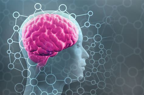 How Much Ram Does The Human Brain Have Supercomputer Uses 1 4 Million