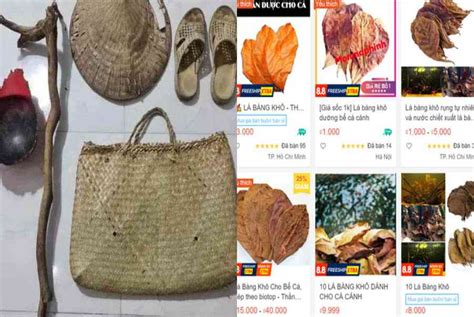 Top 3 Hình ảnh ăn Xin Hài Hước Mới Nhất Năm 2022 Eu Vietnam Business