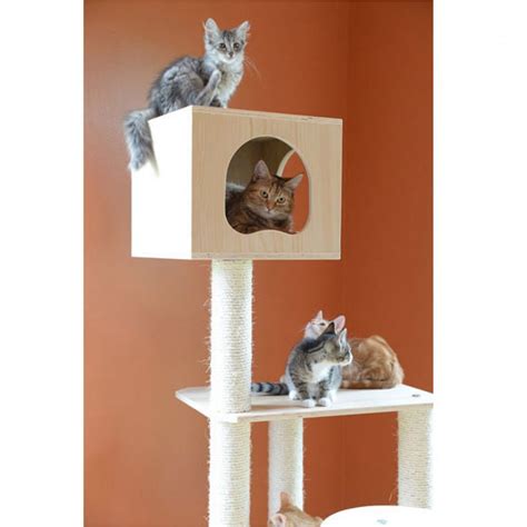 Wooden Cat Tree With House On Top