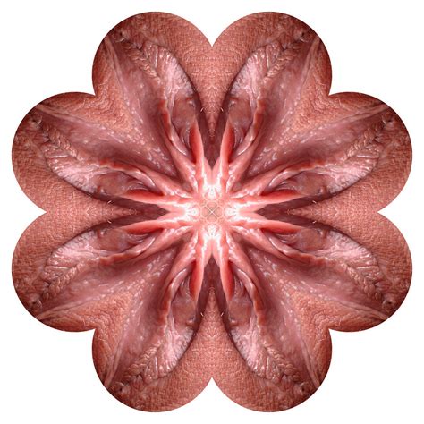 K Sexual Mandala For Erotic Spirituality Photograph By Chris Maher Pixels