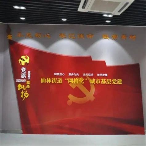 【榜样】孙金娣：种好服务基层“责任田”仙林街道辖区社区