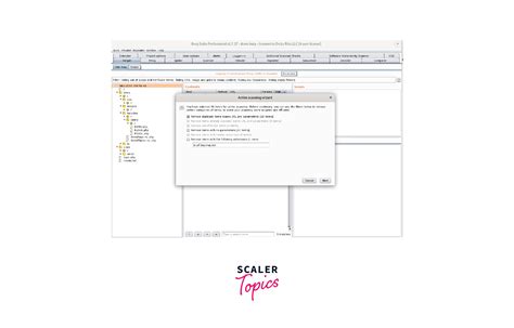 what is burp suite scaler topics