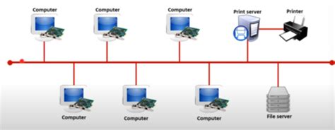 2 1 6 Network Topology Flashcards Quizlet