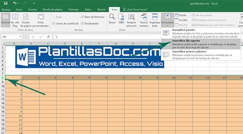Como Inmovilizar Paneles En Excel Plantillasdocxpcomes