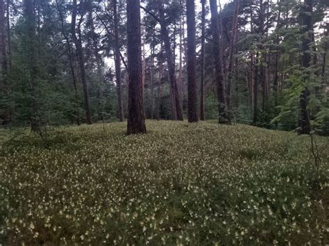 Sandijs Aploks Posted On Linkedin