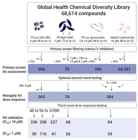 类药多样性化合物库在新药研究中的应用 Medchemexpress 生物 医药 天然产物