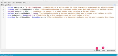 Mastering Apex Variables A Stepping Stone In Your Apex Journey Automation Champion
