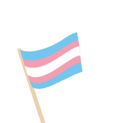 Trans Flag Transgender Sticker Trans Flag Trans Transgender
