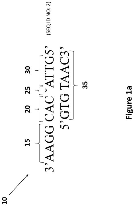 Meta Title Leidos Holdings Inc Patent Dna Data Storage System With Array Based Assembly
