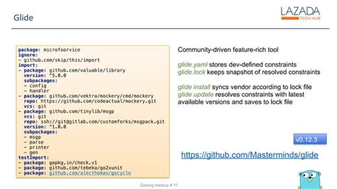 Semantic Versioning And Microservices In Go Ppt