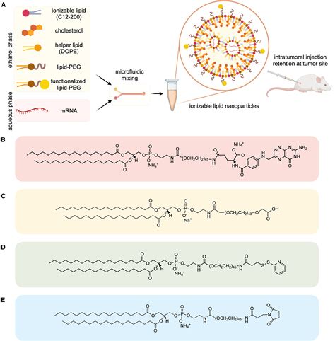 Ionizable Lipid Nanoparticles With Functionalized Peg Lipids Increase