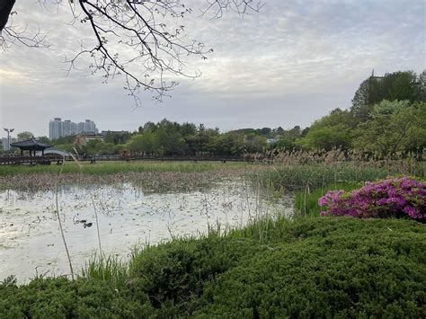 [전주] 연화정 도서관 전주여행 필수 코스 ㅣ덕진공원 강 한가운데에 있는 도서관 뷰 맛집