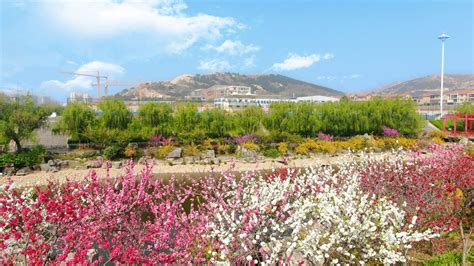 青岛黄海学院