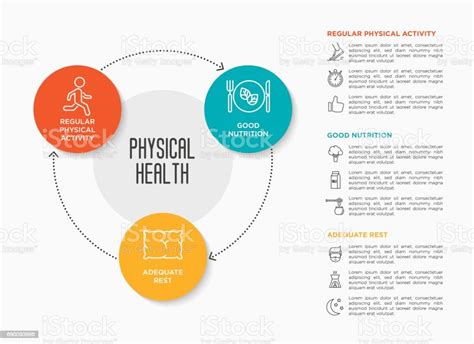 Infographic 건강 한 라이프 스타일에 대 한입니다 스포츠 건강 한 영양 섭취와 충분 한 수 면을 실행 얇은 라인 아이콘입니다 벡터 일러스트입니다 건강관리와 의술에