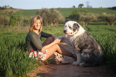 Mydreams Oso Ya Tiene Familia