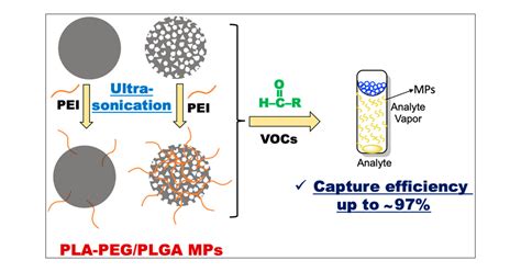 Controllable Design Of Naked And Poly Amine Capped Porous And Nonporous Microparticles Of
