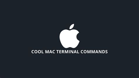 Fun And Cool Mac Terminal Commands To Try In