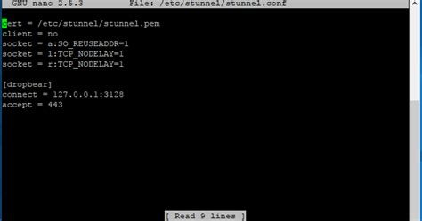 Cara Install Stunnel SSH SSL Di Ubuntu Debian
