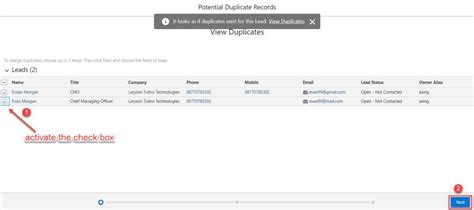 How To Merge Duplicate Leads In Salesforce