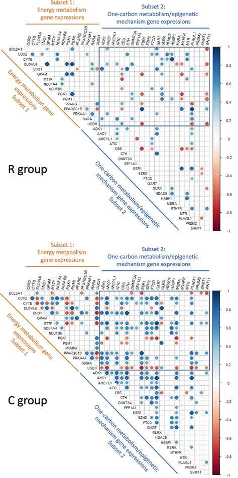 Correlation Matrices Between The Gene Expression Of The Two Subsets Of Download Scientific