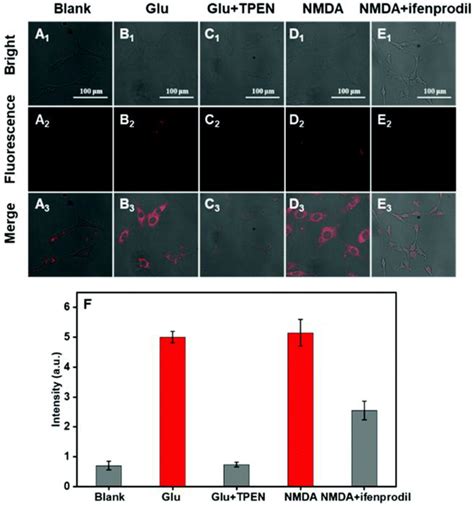 Advances In Organic Fluorescent Probes For Intracellular Zn2 Detection And Bioimaging