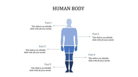 Human Body Designed Ppt Templates Human Body Parts Human Body