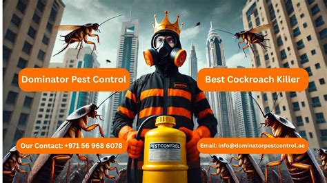 No1 Best Cockroach Killer In Dubai Dominator Pest Control