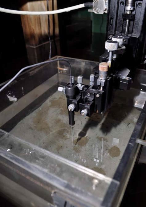 Microelectrode Measurement Download Scientific Diagram