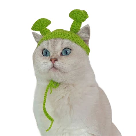 Cute Cat Eyes Shrek