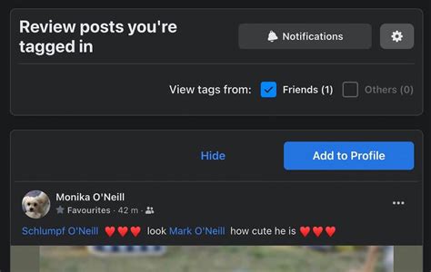 How To Check And Manage Tagged Photos On Facebook Pupuweb