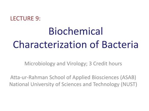 Ppt Biochemical Characterization Of Bacteria Powerpoint Presentation Id1900138