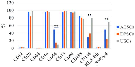Expression Of Surface Antigens In Mscs Obtained From Different Tissues