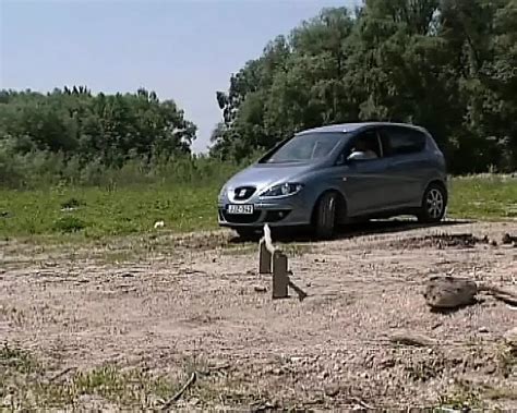 Il Primo Bacio Italian Sc Lewd Anal Sex Amateur Porn Xhamster