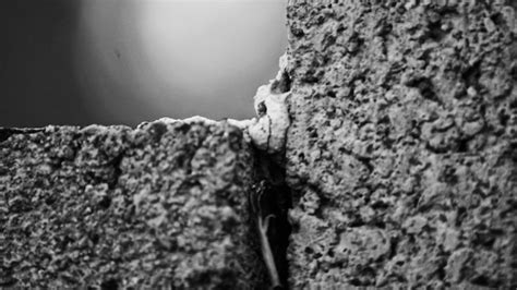 Premium Photo Wall Building Feature