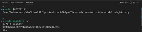 VSCode Terminal History Being Set To Local Directory History After