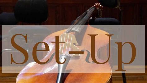 All The Parts Of The Double Bass Explained Double Bass Hq