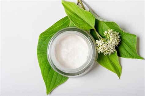 천연 성분이 있는 여성 화장품 얼굴과 바디 스킨 케어를 위한 수단입니다 신선한 허브와 흰색 배경에 얼굴 크림의 환경 친화적 인 튜브 복사 공간 레이아웃 메이크업 화장품에