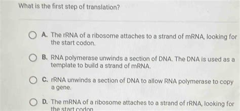 Solved What Is The First Step Of Translation A The Rrna Of A