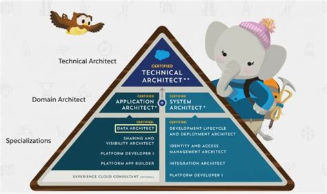 Salesforce Data Architect Certification Guide And Tips