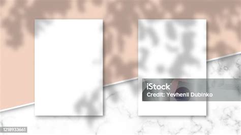 A4 용지 모형에 그림자 오버레이 효과 나뭇잎과 나뭇잎에서 투명한 빛과 그림자 투명 한 그림자 오버레이 효과 와 자연 번개의 장면 모형 그림자에 대한 스톡 벡터 아트 및