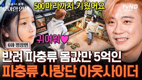 우아한인생 아웃사이더 집은 주토피아 한 집에 있는 반려 파충류 몸값만 5억인 진정한 파충류 러버의 일상 Youtube