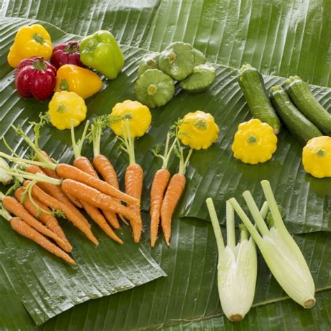 Mini Vegetables Garden Frutta