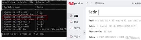Mysql数据库中的插入数据insert，中文字符集配置mysql当插入操作指定的字符集与数据库的字符集不同时 Csdn博客
