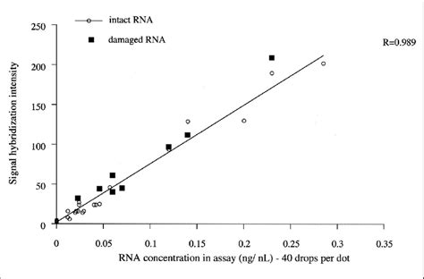 Rna Degradation Effect On Assay Three Dilutions 110 150 And