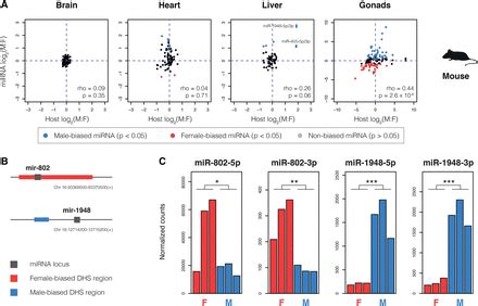 Sex Biased MicroRNA Expression In Mammals And Birds Reveals Underlying Regulatory Mechanisms And