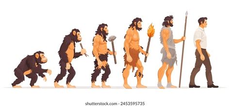 Human Evolution Development Ape Modern Man Stock Vector Royalty Free 2453595735 Shutterstock